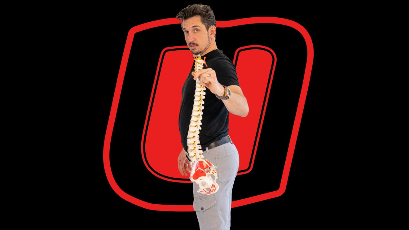 Can Lordosis Be Reversed? Causes, Symptoms, and How to Fix Lumbar Hype ...